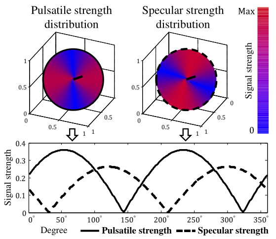 rPPG算法简述（一） 2021-08-30-CSDN博客