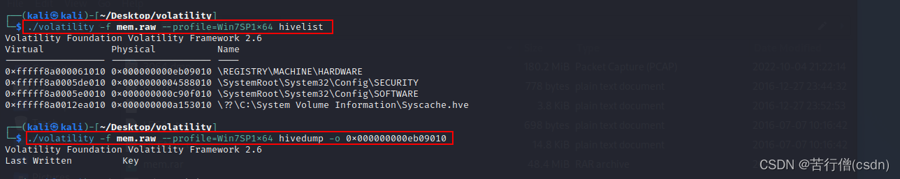内存取证 && volatility工具（持续更新）_内存镜像.raw-CSDN博客