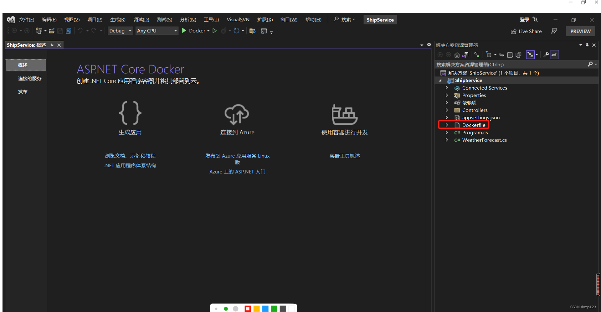 阿里云Serverless应用引擎SAE，布署asp.net 6.0 web api 教程案例_阿里serverless部署web应用-CSDN博客