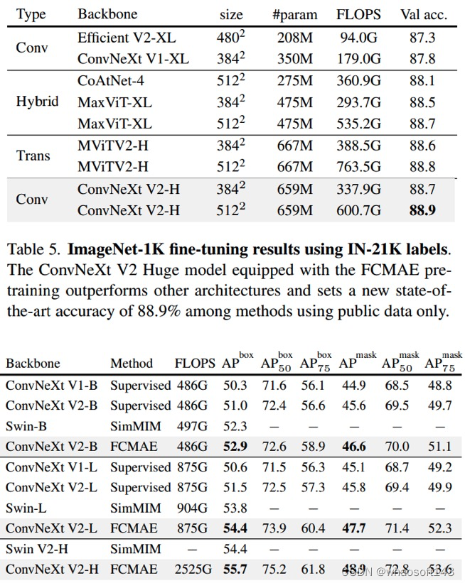 ConvNeXtV2_convnextv2 预训练-CSDN博客