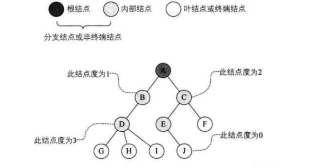 C/C++ 树的基本概念_tree::tree在c加加中是什么意思-CSDN博客