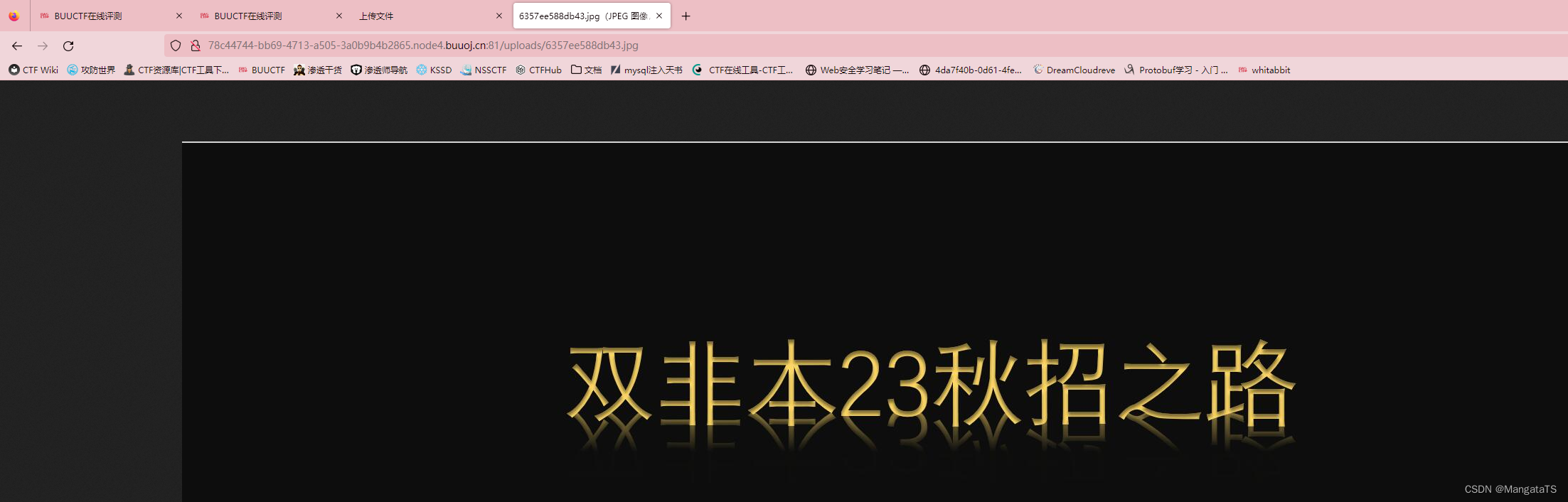 BUU UPLOAD COURSE 1 1（一句话木马+蚁剑）-CSDN博客