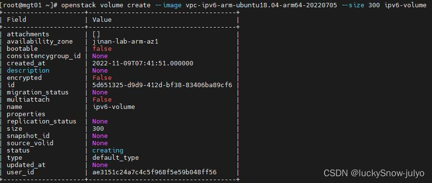 OpenStack常用命令-CSDN博客