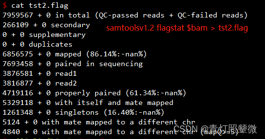 【bioinfo】samtools stats 输出结果解读-CSDN博客