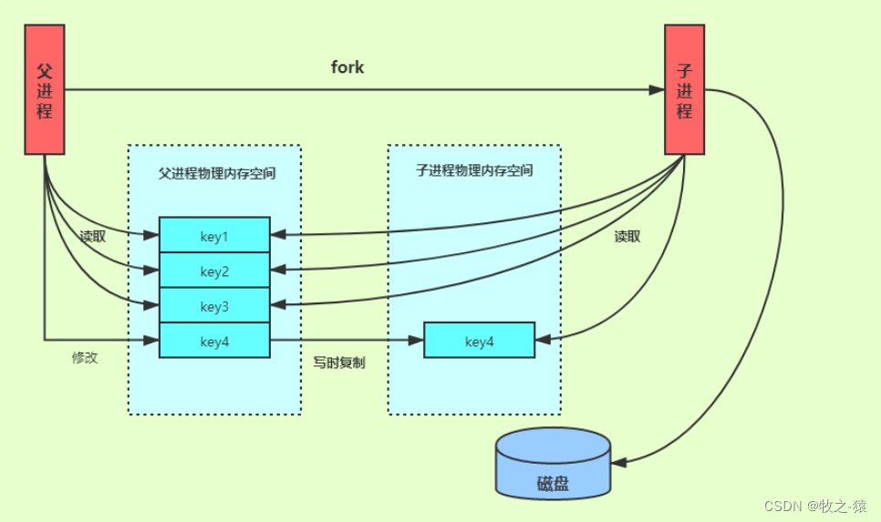 Redis的持久化-Redis（三）_redis bgsave cow-CSDN博客