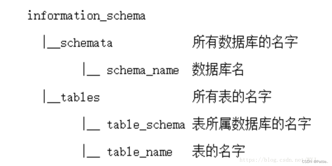 web安全-sql注入漏洞_websql注入攻击_Pattie.的博客-CSDN博客