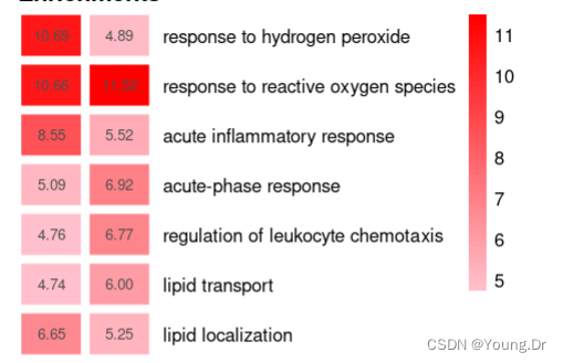 go.DB 富集分析子集 go子集 offspring children多层次结构go_go富集图不同的层级-CSDN博客
