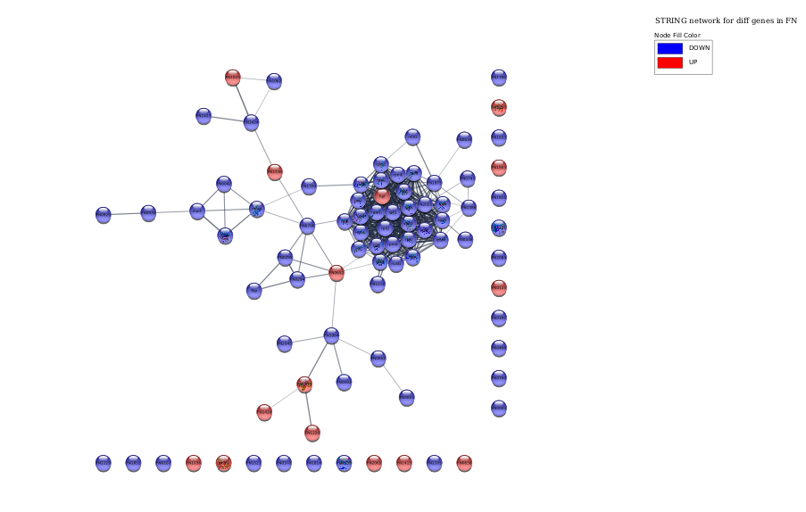 非模生物STRING结合cytoscape进行PPI画图_cytoscape添加图例-CSDN博客