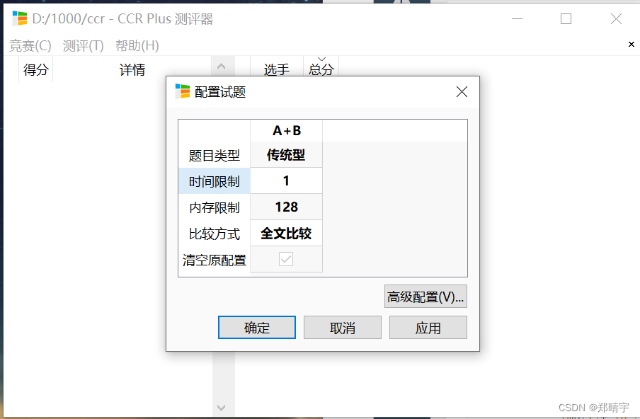CCR-Plus 评测器使用配置指南-CSDN博客