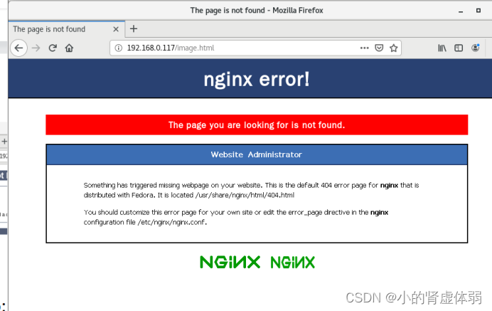 LNMT与nginx动静分离单机部署步骤部署tomcat-CSDN博客