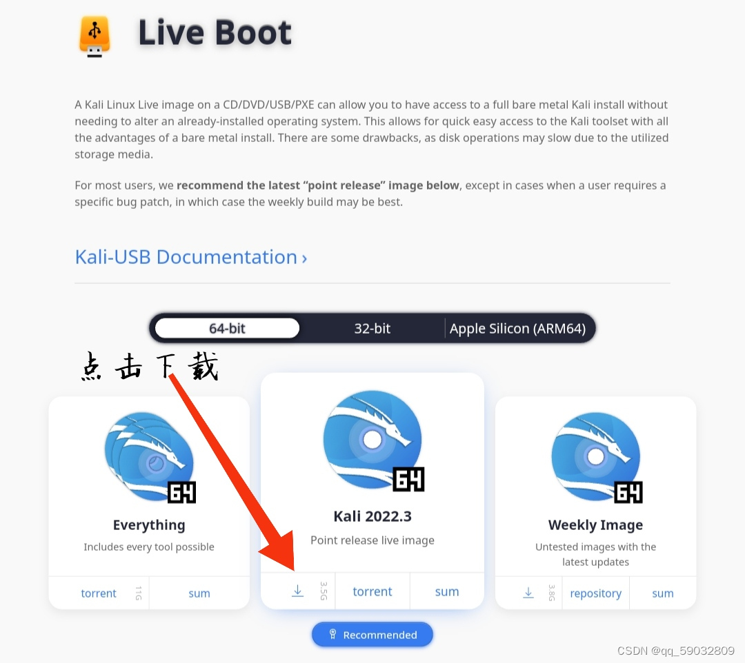 如何将kali系统写入U盘，并在U盘中启动。_kaliu盘启动-CSDN博客