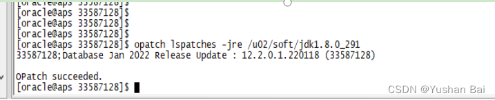 ORACLE 12.2.0.1版本的BUG30403763 修复过程_oracle12.2.0.1-CSDN博客