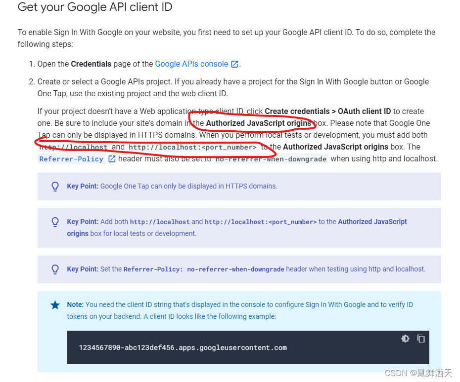 Web Application集成Google第三方登录(2022最新)_web应用如何对接google-CSDN博客