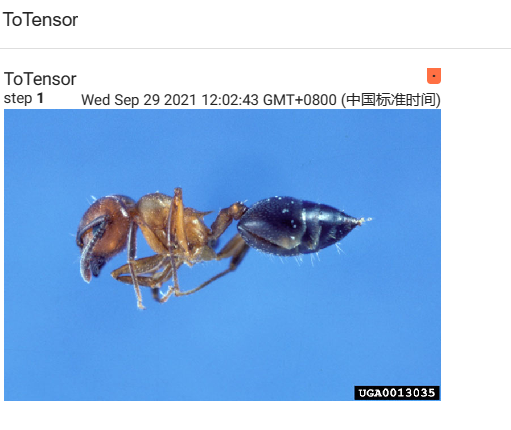 Pytorch学习笔记 Tensorboard和transform的使用 Tensorboard和transform是什么 Csdn博客