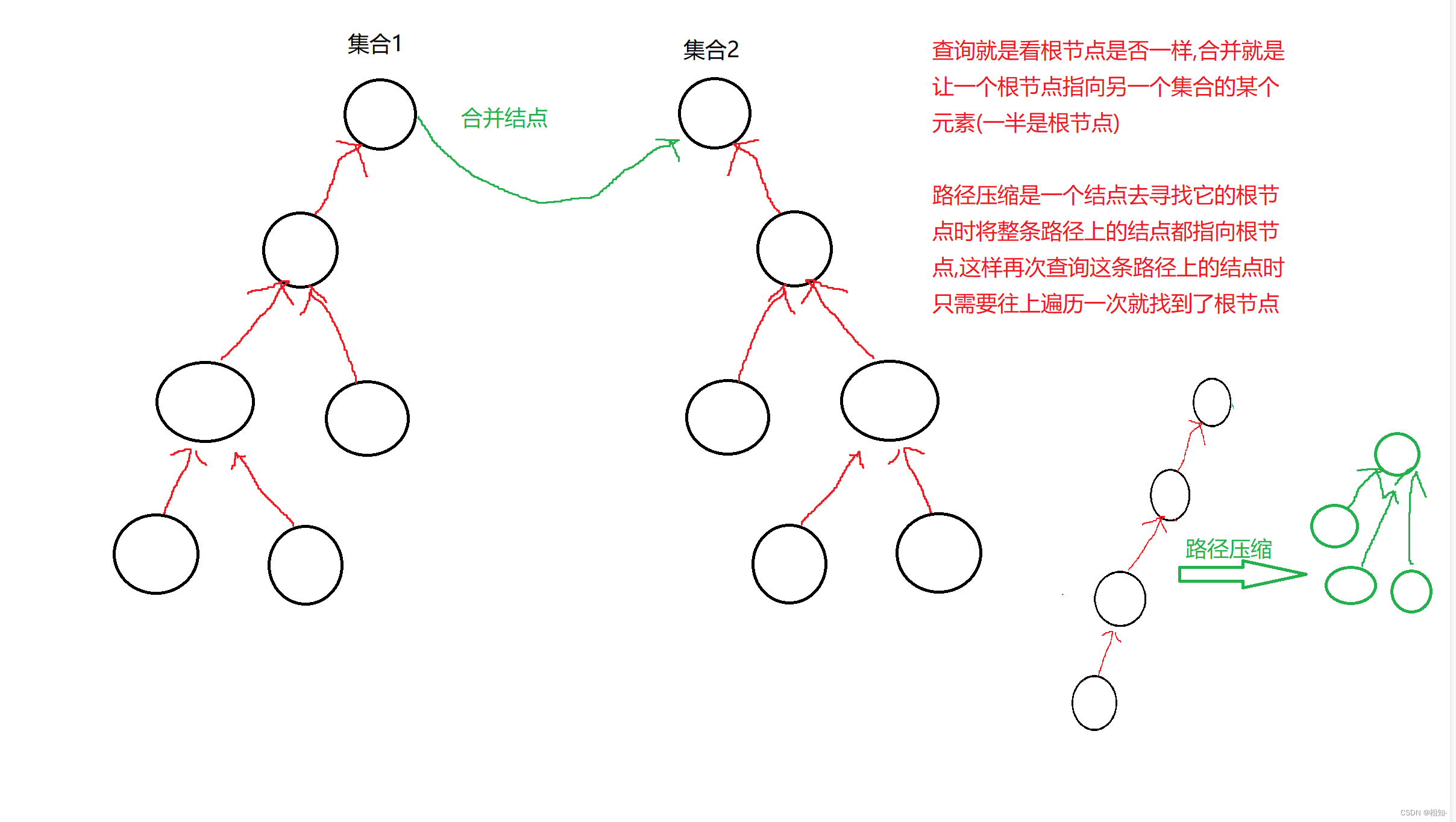 acwing算法基础课模版分析-CSDN博客