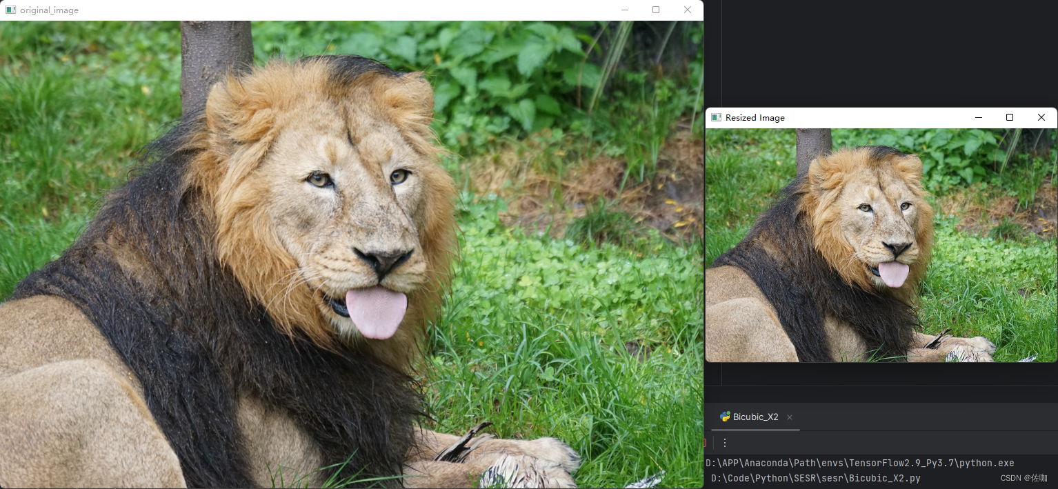 Python cv2 resize 