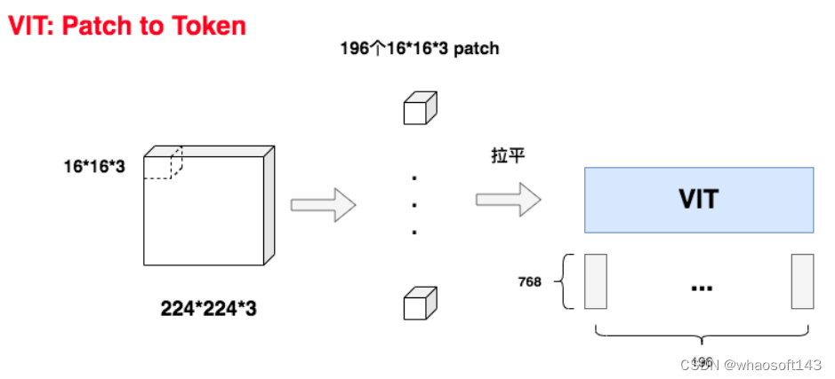 VIT~~6_vit模型的输入可以是文本吗-CSDN博客