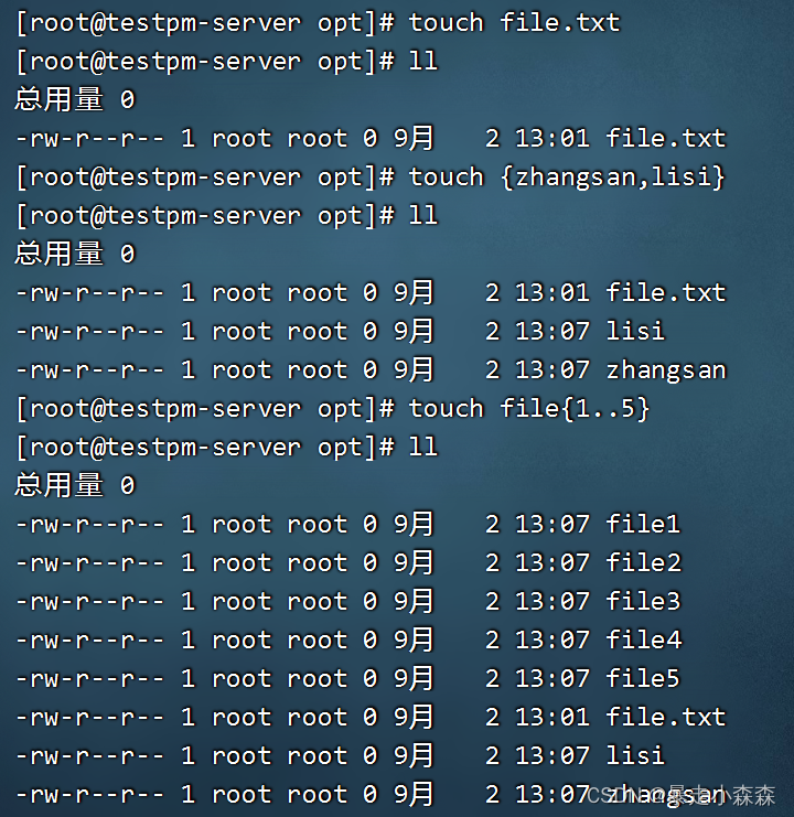 Linux文件 Csdn博客