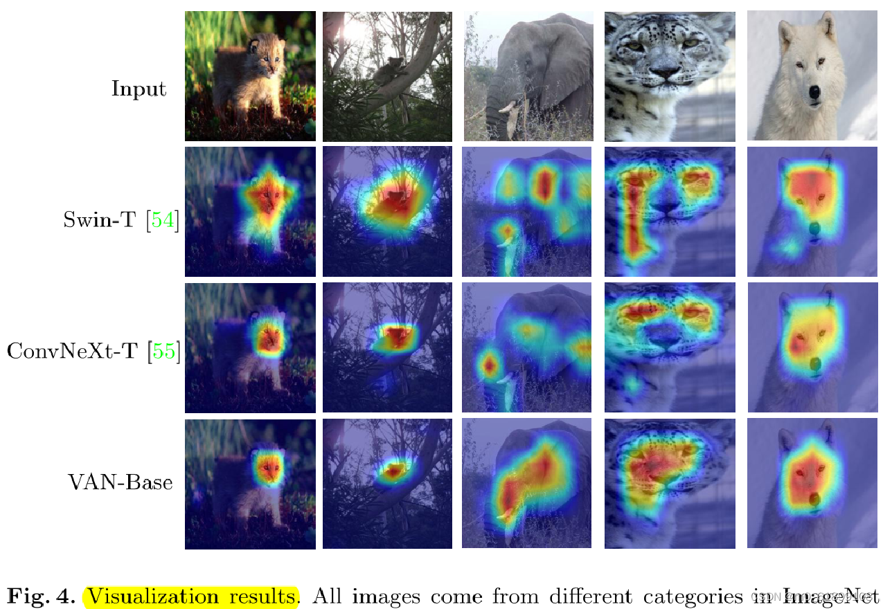 【论文笔记】Visual Attention Network_vision attention network-CSDN博客