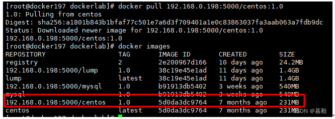 Docker基础19--3.6 Docker仓库操作_docker3.6-CSDN博客