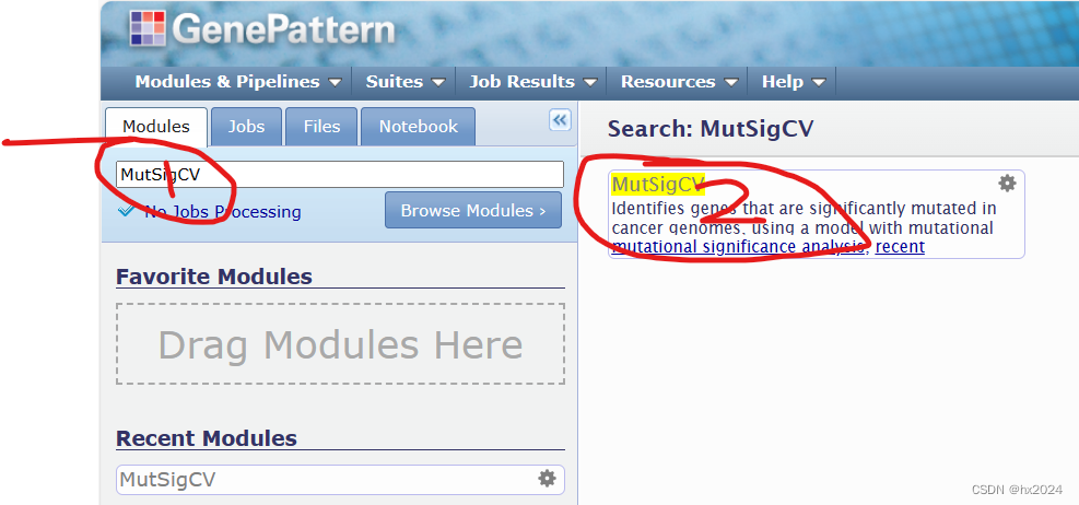 识别肿瘤驱动基因MutSigCV和MethylMix_mutsig2cv-CSDN博客