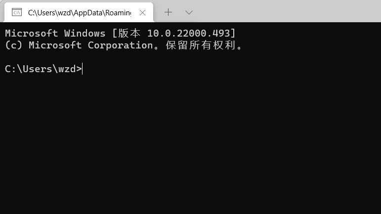 Windows11设置 CMD默认使用Windows Terminal启动_windows terminal默认cmd-CSDN博客