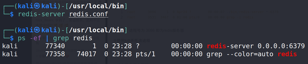 linux(kali)安装了redis，却无法启动redis-server的解决办法_linux重启后redis无法启动了-CSDN博客