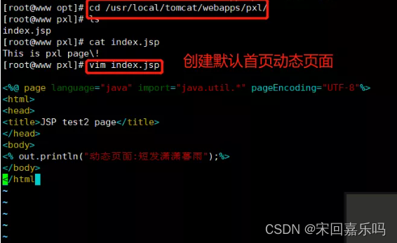 Tomcat值NGINX+Tomcat实现负载均衡、动静分离集群部署_tomcat、nginx部署tomcat集群-CSDN博客