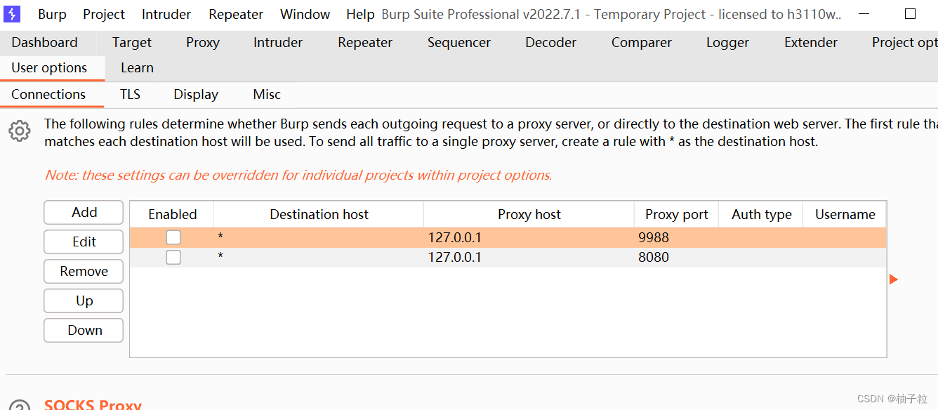 Burp Suite Professional Error Failed to connect to 127.0.0.1:9988_burp suite professional error ...