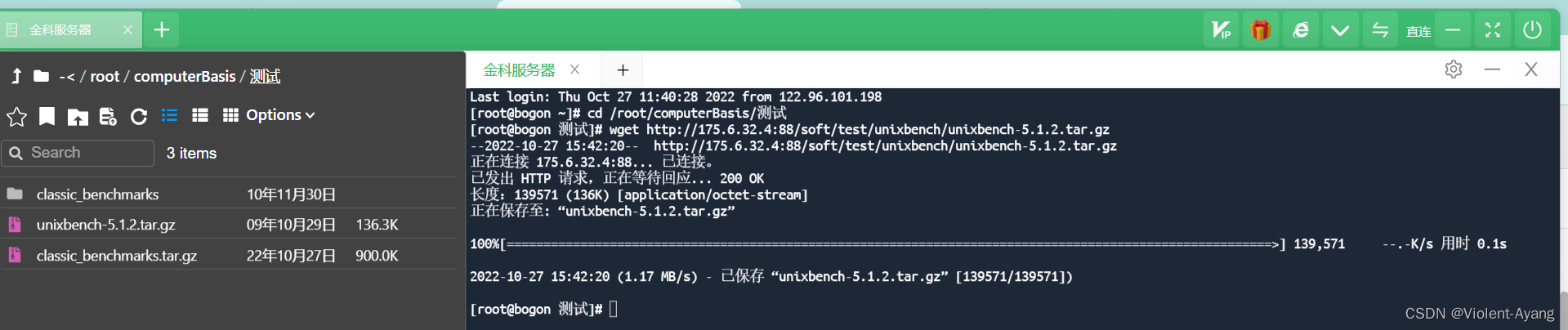 UNIX BENCH详细安装及使用步骤_unixbench使用方法-CSDN博客
