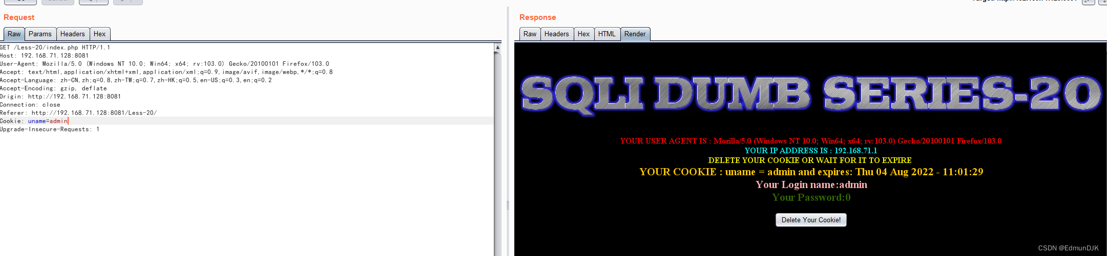 DAY22：sqli-labs 靶场通关wp（Less01~~Less20）_sqlilabs wp-CSDN博客