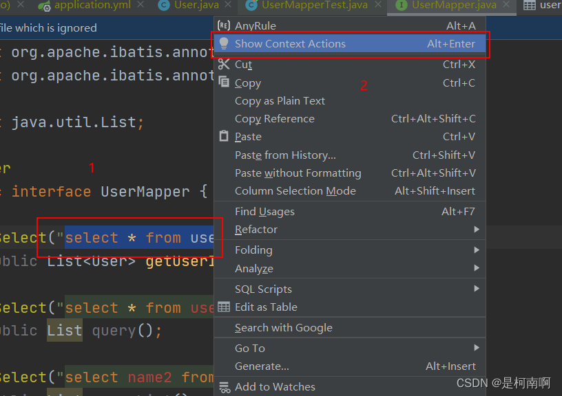 SpringBoot中使用Mybatis及开启SQL语句提示_springboot 显示sql-CSDN博客