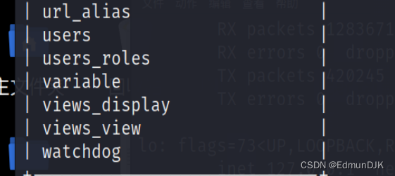 DAY29（DAY30拓展）：Vulnhub--靶机实战_actiontec mi424wr-gen3i wap-CSDN博客