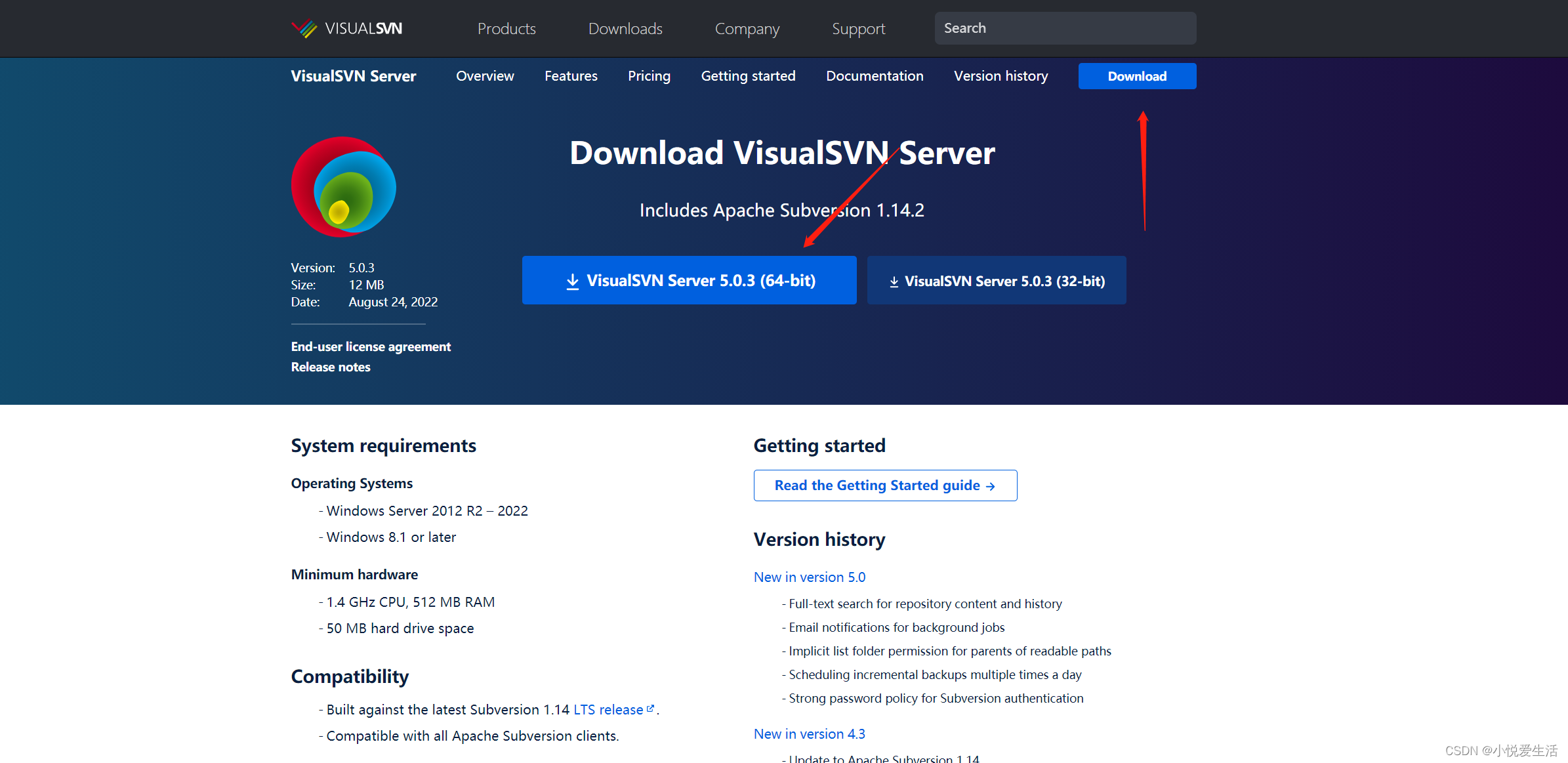 SVN的下载与使用_svn download-CSDN博客