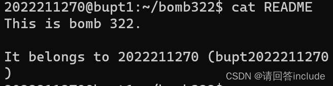 BUPT lab2二进制炸弹（实验一到实验五）_lea (%rax,%rbp,1),%r12d-CSDN博客