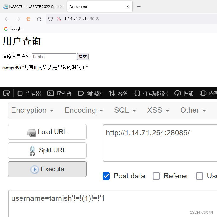 [NSSCTF 2022 Spring Recruit]babysql-CSDN博客