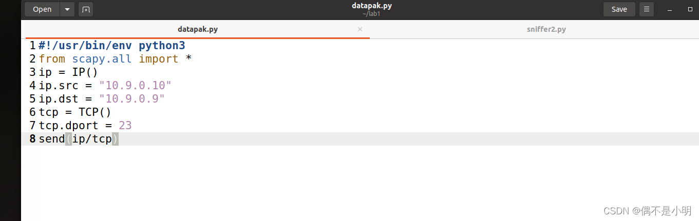 Lab1 Packet Sniffing and Spoofing Lab-CSDN博客