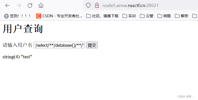 NSSCTF第11页（2）_[nssctf 2022 spring recruit]babysql-CSDN博客
