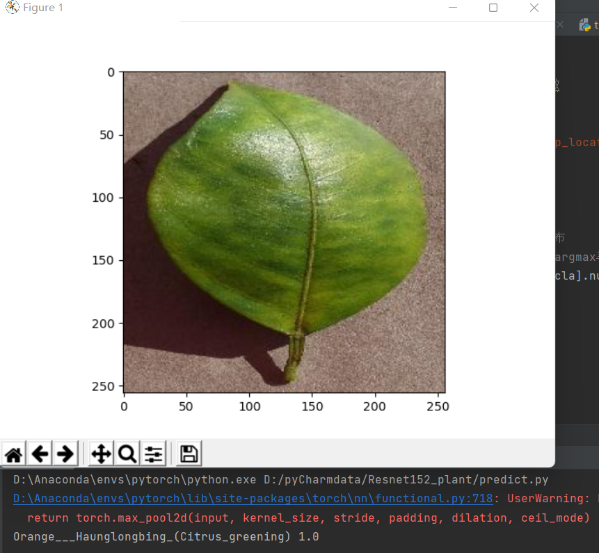 【pytorch】resNet152迁移学习实现植物病害图像识别分类_植物疾病识别项目代码-CSDN博客