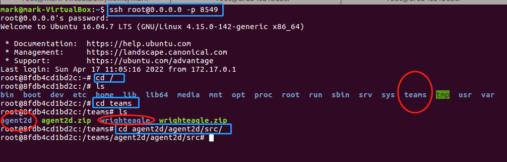 三步使用Docker容器创建RoboCup仿真2D环境_ubuntu使用docker搭建足球2d-CSDN博客