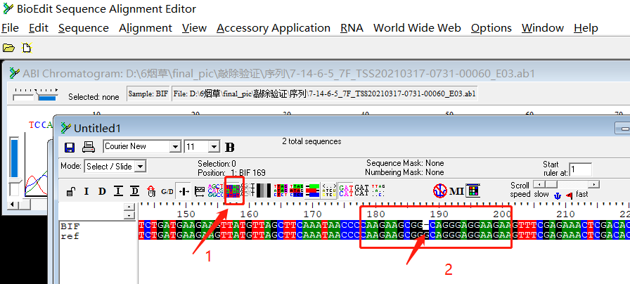 利用BioEdit软件进行短序列序列比对之查看突变位点_bioedit怎么序列比对-CSDN博客
