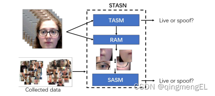 Face Anti-Spoofing FAS 综述_qingmengEL的博客-CSDN博客