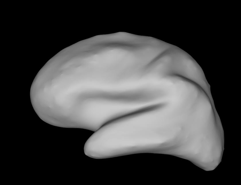 mris_convert用法 surface文件格式的转换_mri数据.gii文件用什么打开-CSDN博客