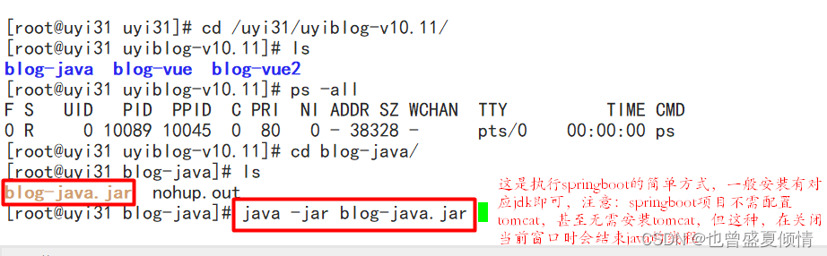 SpringBoot+vue部署服务器（后台运行）_vue 后台运行nohup-CSDN博客