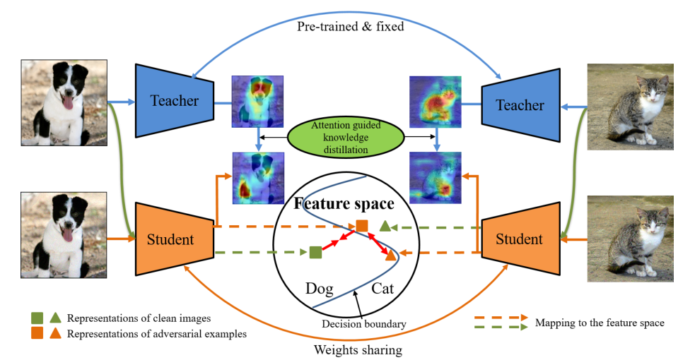 【论文翻译_对抗攻击、知识蒸馏】AGKD-BML: Defense Against Adversarial Attack by Attention Guided Knowledge_对抗知识 ...