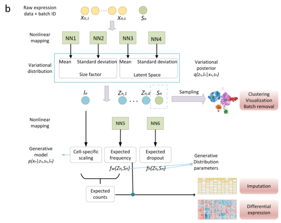 Imputation Methods for scRNA Sequencing Data_imputation methods for sc-rna squencing-CSDN博客