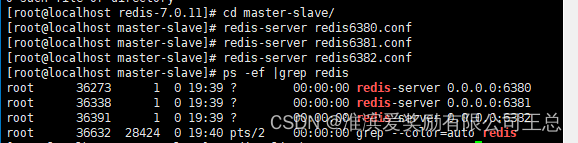 Redis的集群_bind 0.0.0.0 ::1-CSDN博客