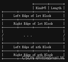 TCP-IP详解：SACK选项（wireshark抓包有SLE和SRE的SACK包）_tcp sack-CSDN博客