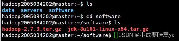 实验一配置jdk和hadoop的环境变量-CSDN博客