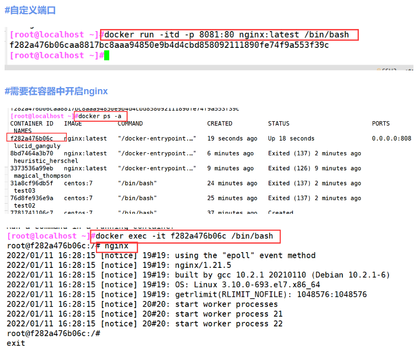 Docker 网络详解（host、container、none、Bridge网络模式）_docker host-CSDN博客